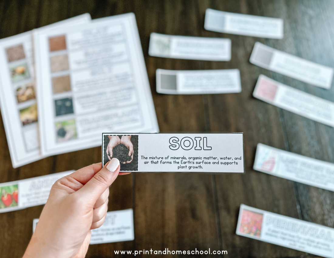 Garden Calendar Day (May School Day #5) - The Seasonal Homeschool